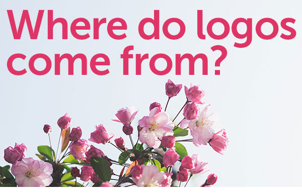 How Do Logos Get Made? | Sumack Loft