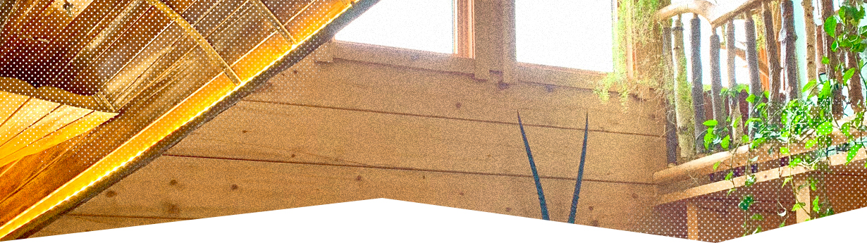 Logo Design | Sumack Loft